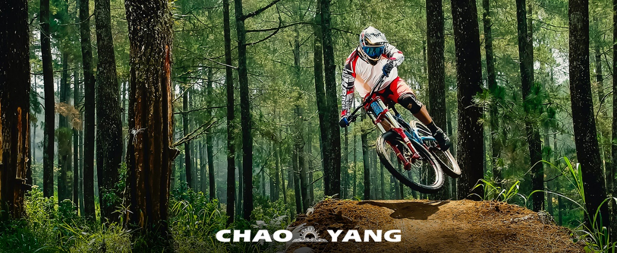 Chaoyang - Tires & Tubes – AIMA Ebike