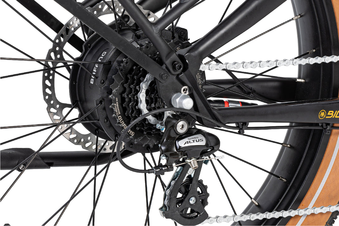 Aima Big Sur Fat Tire Step Through E-bike – Go Cyclone