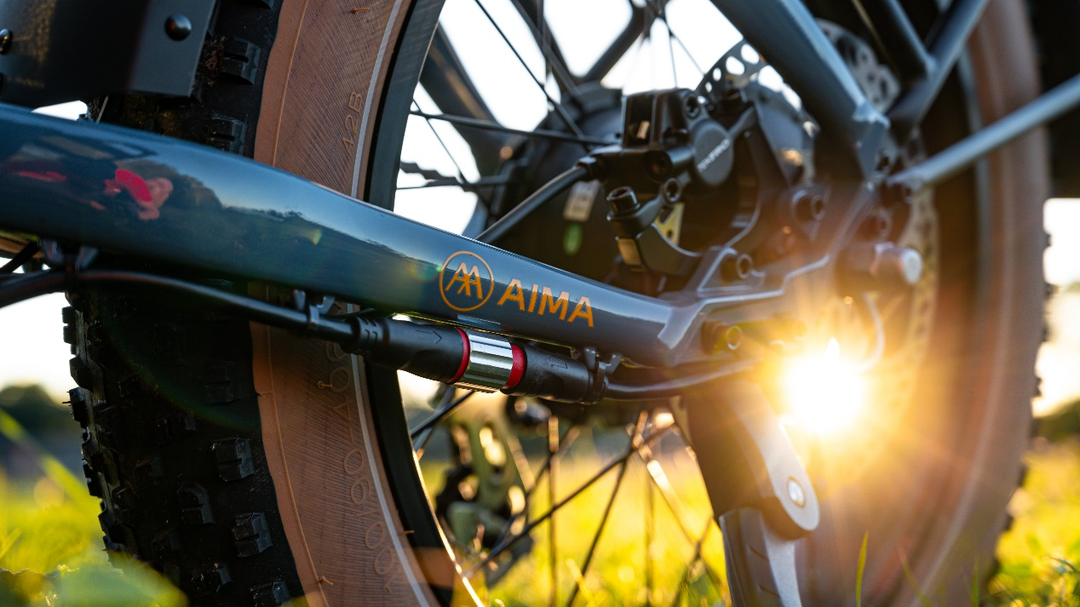 Selected by AIMA – AIMA Ebike